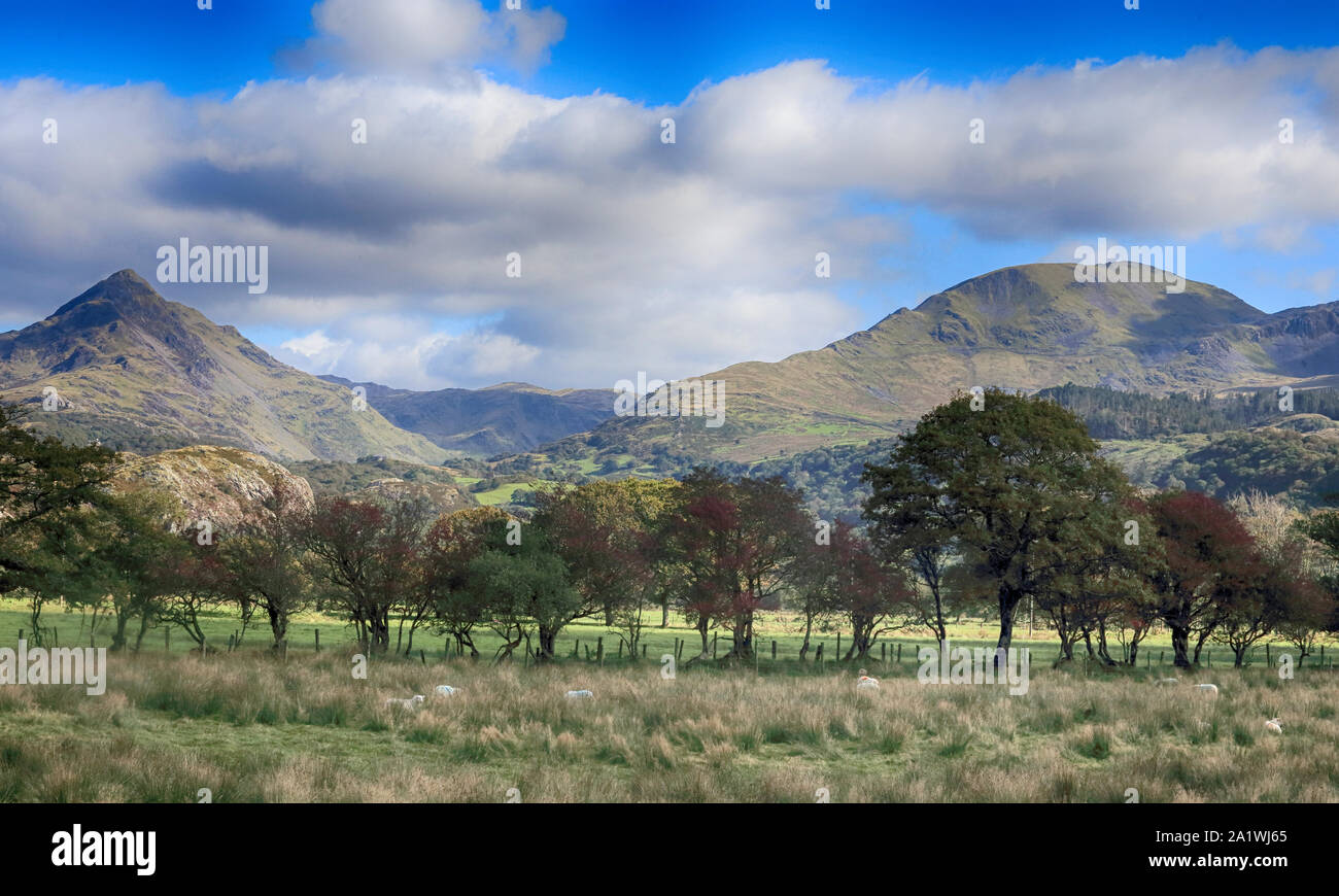 Prenteg Welsh Highland Railway Scene Stock Photo - Alamy