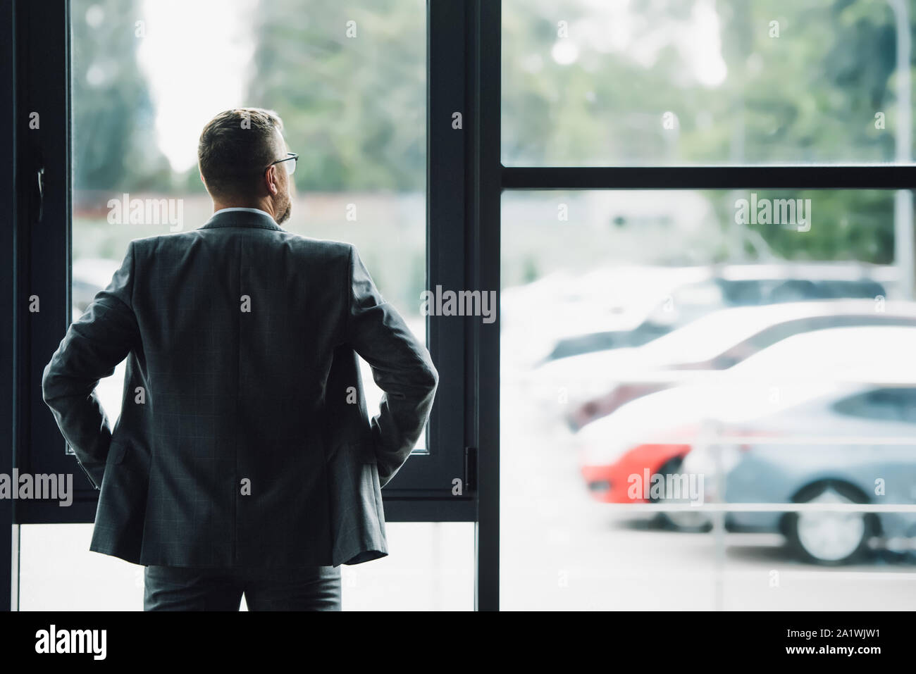 back view of man in formal wear looking through window Stock Photo - Alamy