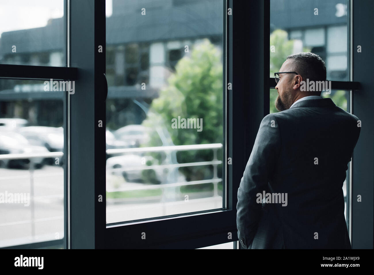 back view of businessman in formal wear talking on smartphone Stock ...