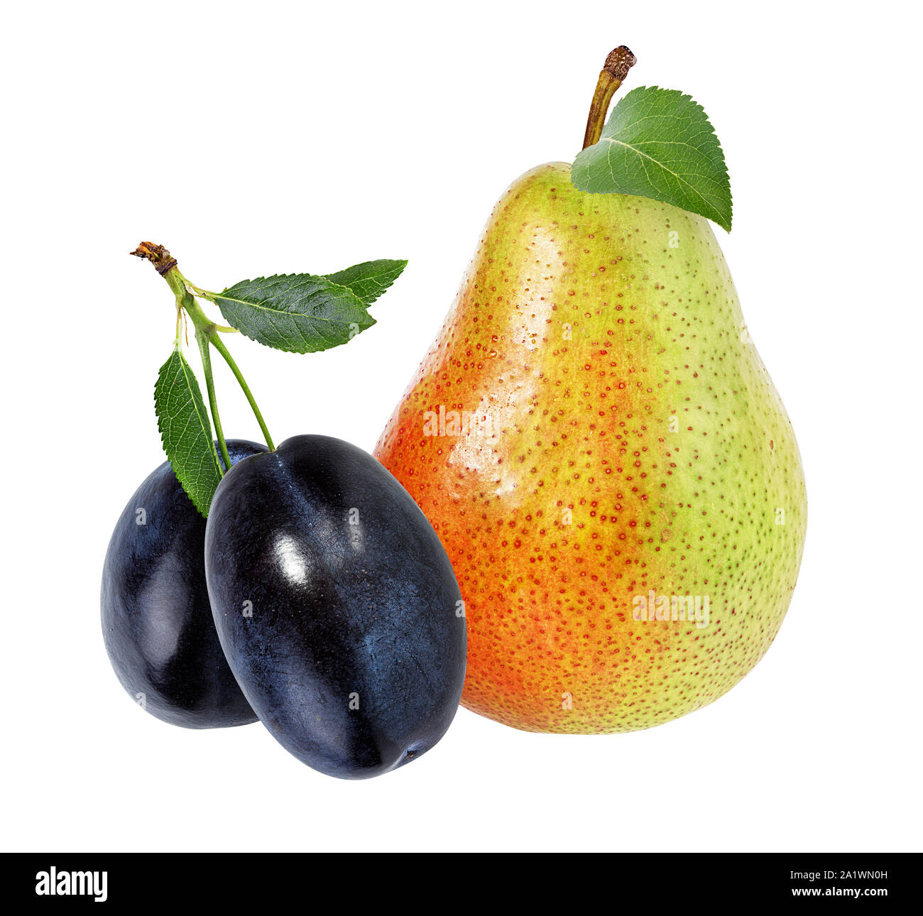 pears and plum isolated on white background Stock Photo - Alamy