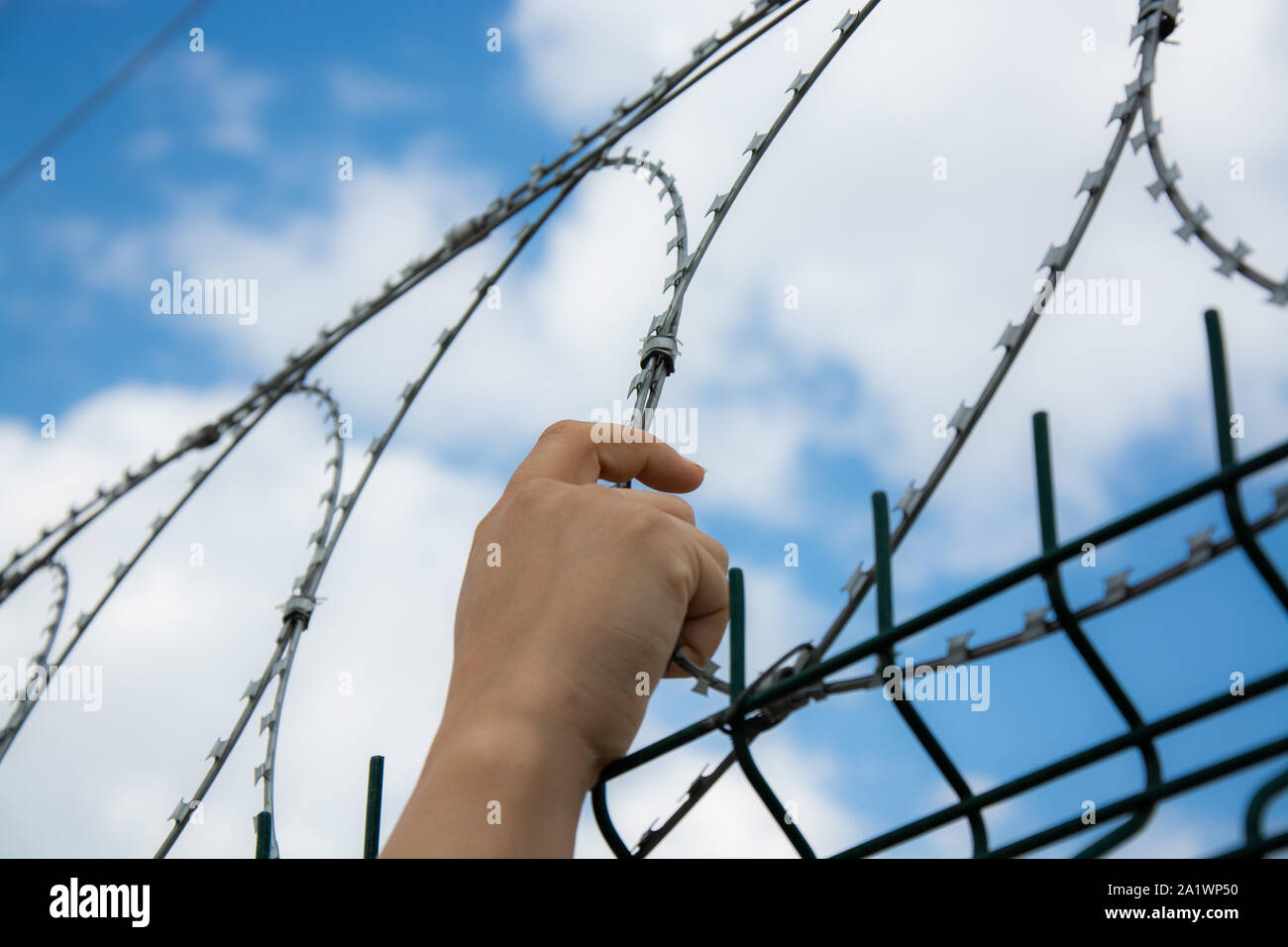 Hand of a refugee behind barbed wire Stock Photo - Alamy