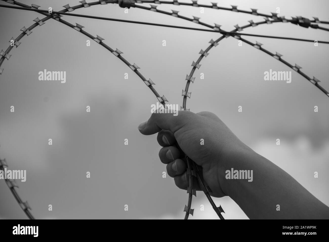 Hand behind barbed wire Black and White Stock Photos & Images - Alamy