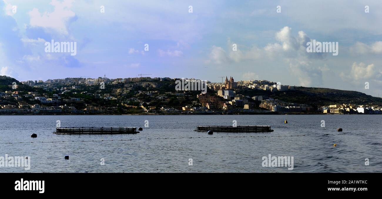 Malta fish farming hi-res stock photography and images - Alamy