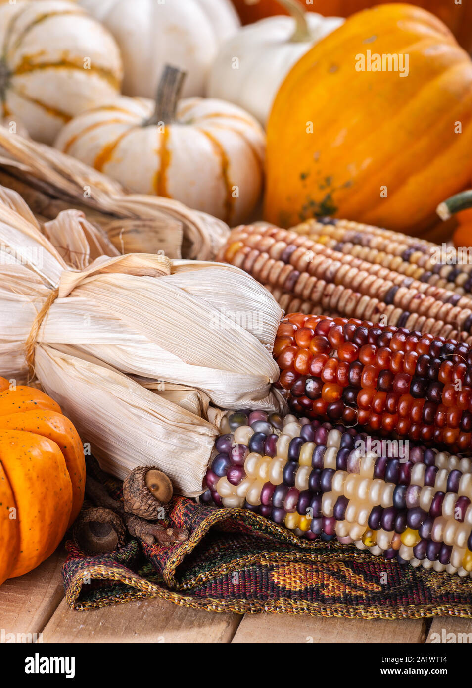 Closeup of colorful fall indian corn and mini pumpkins Stock Photo - Alamy