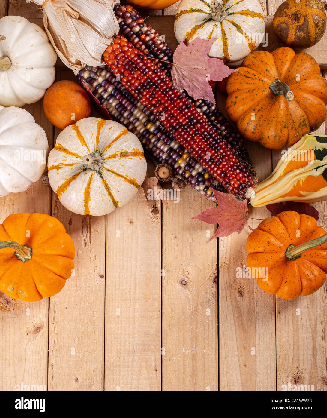 Overhead view of indian corn and mini pumpkins on a rustic wooden ...