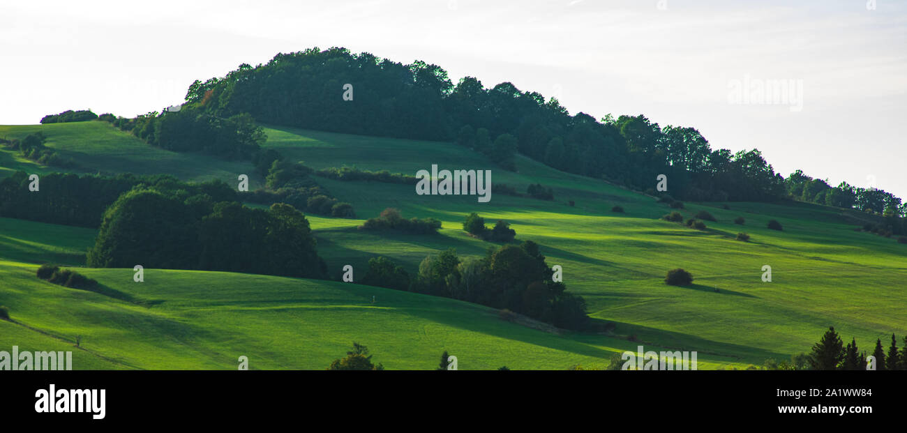 irish landscape with green fields and rolling hills with forest Stock ...