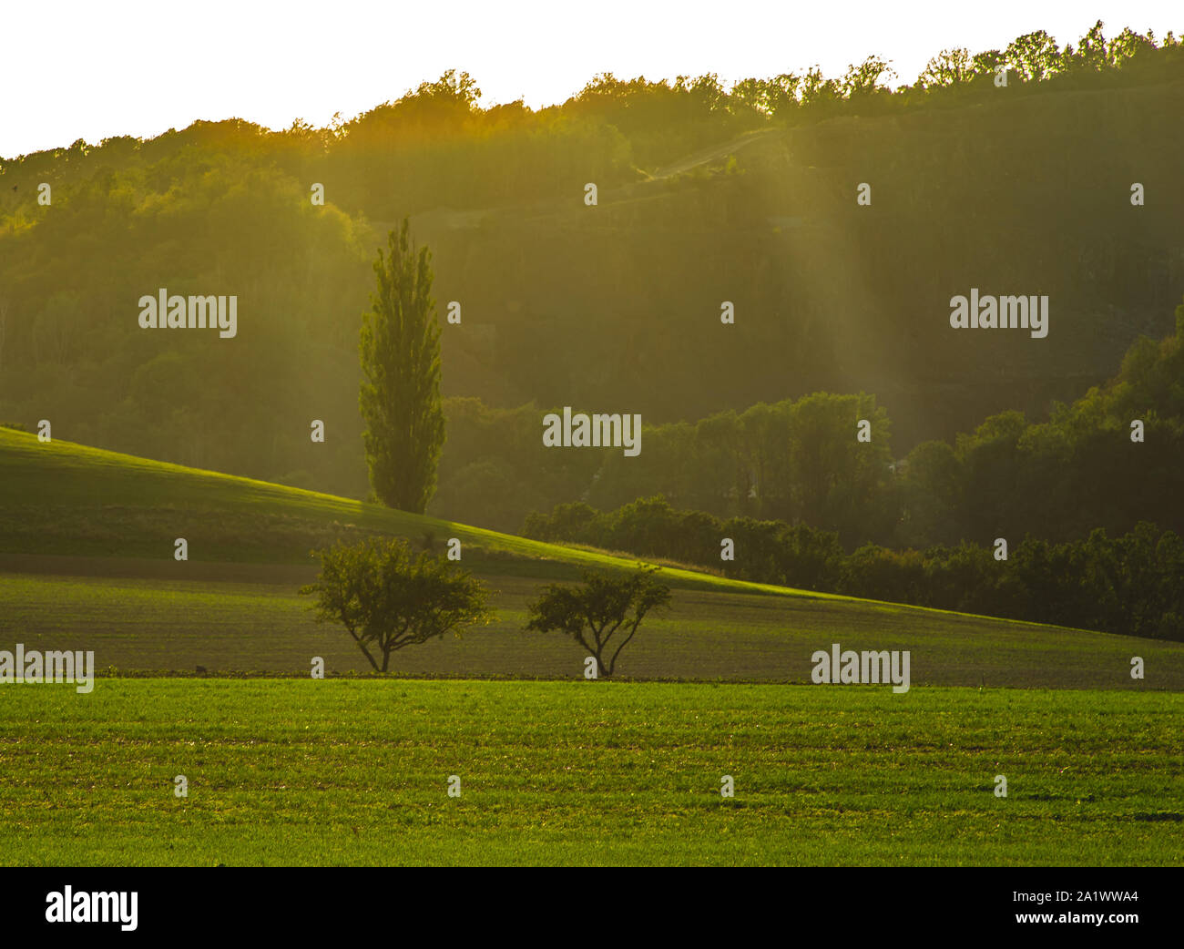 Tuscany sunset hi-res stock photography and images - Alamy