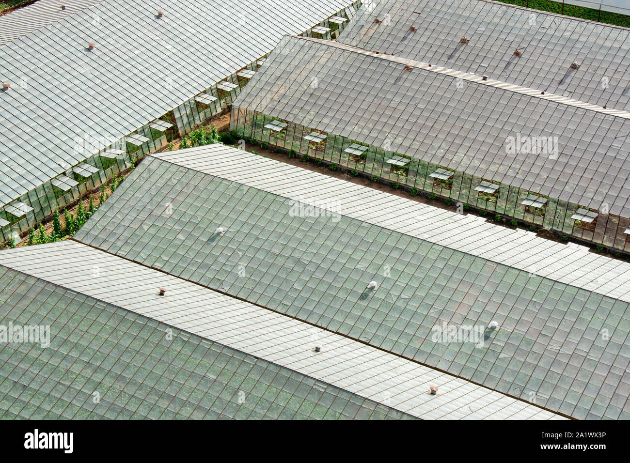 Aerial view of greenhouse hi-res stock photography and images - Alamy