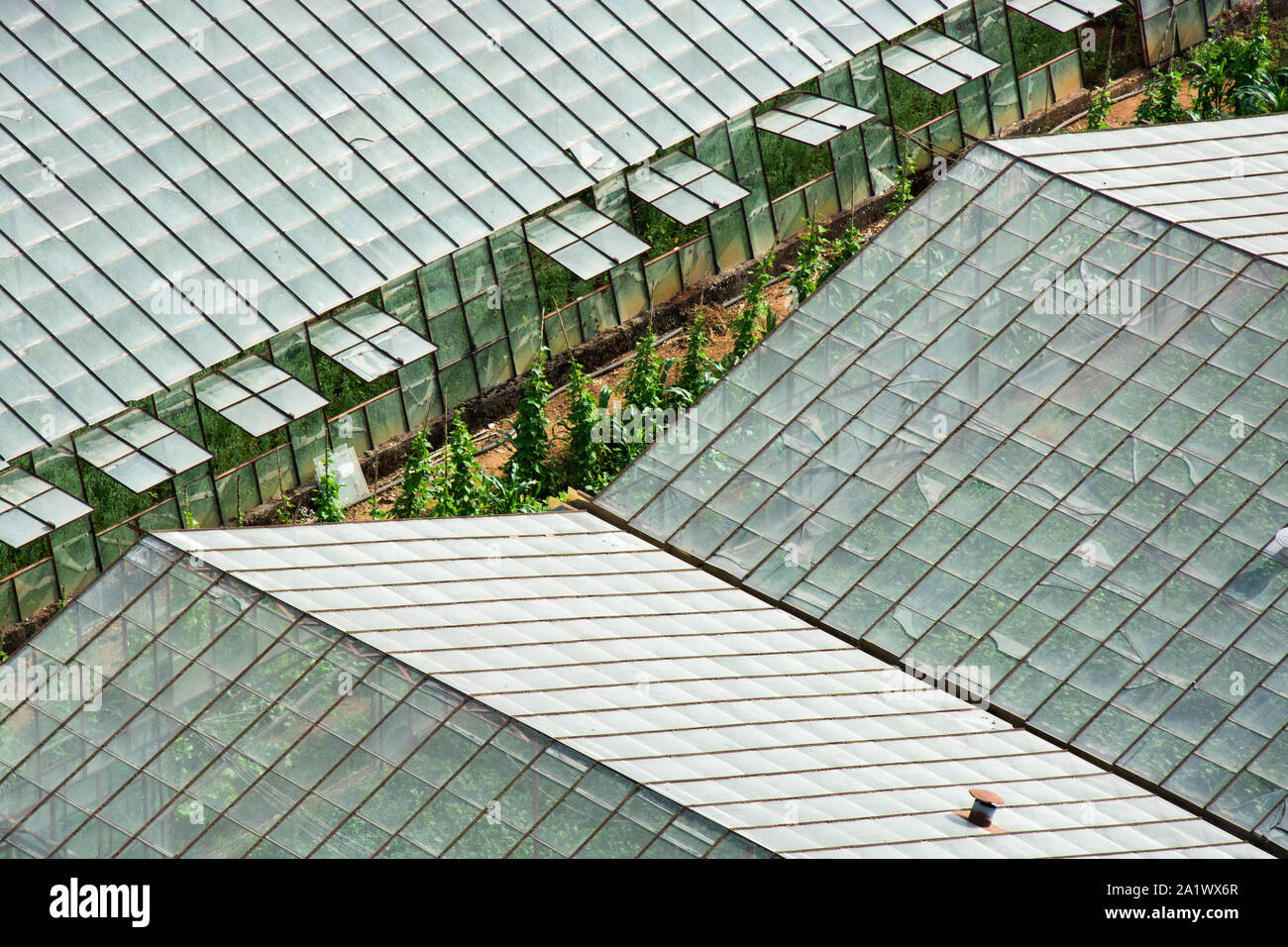 Aerial view of greenhouse hi-res stock photography and images - Alamy