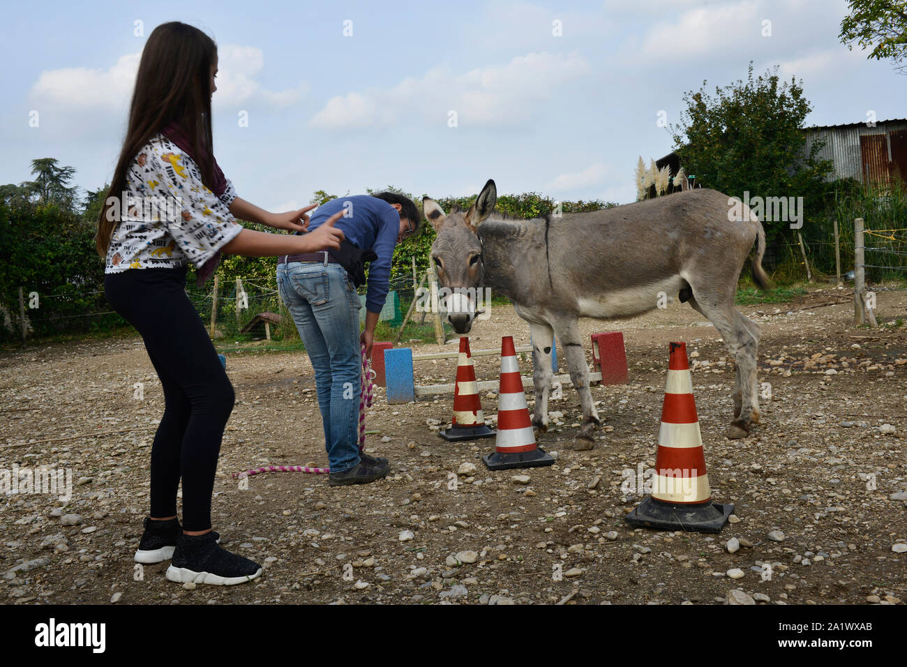 Emotional Support Animal High Resolution Stock Photography and Images ...