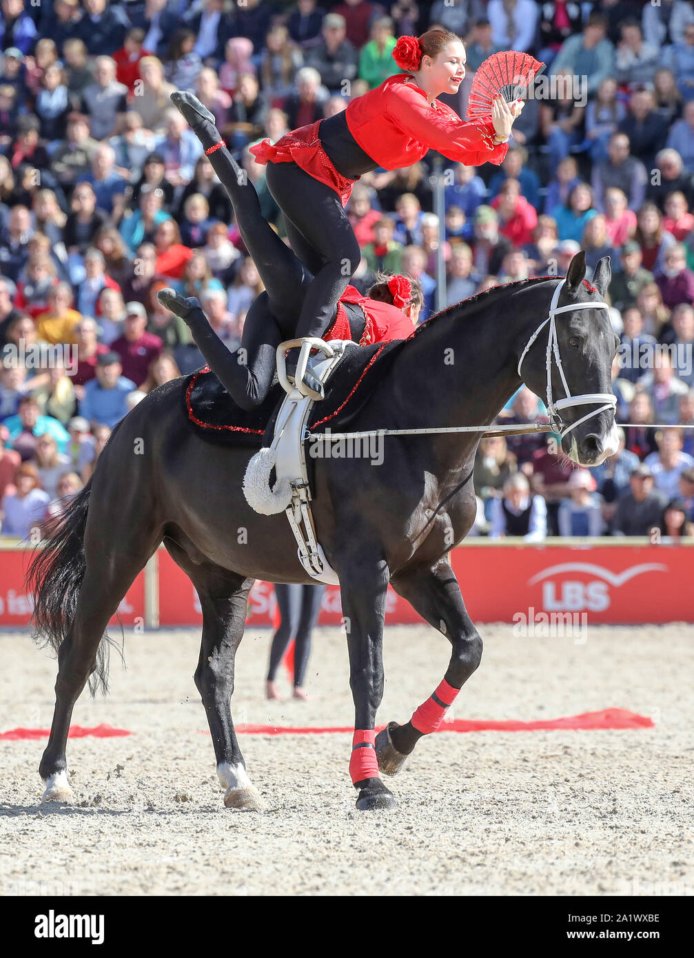Gomadingen Marbach, Germany. 29th Sep, 2019. During the 2019 Stallion ...