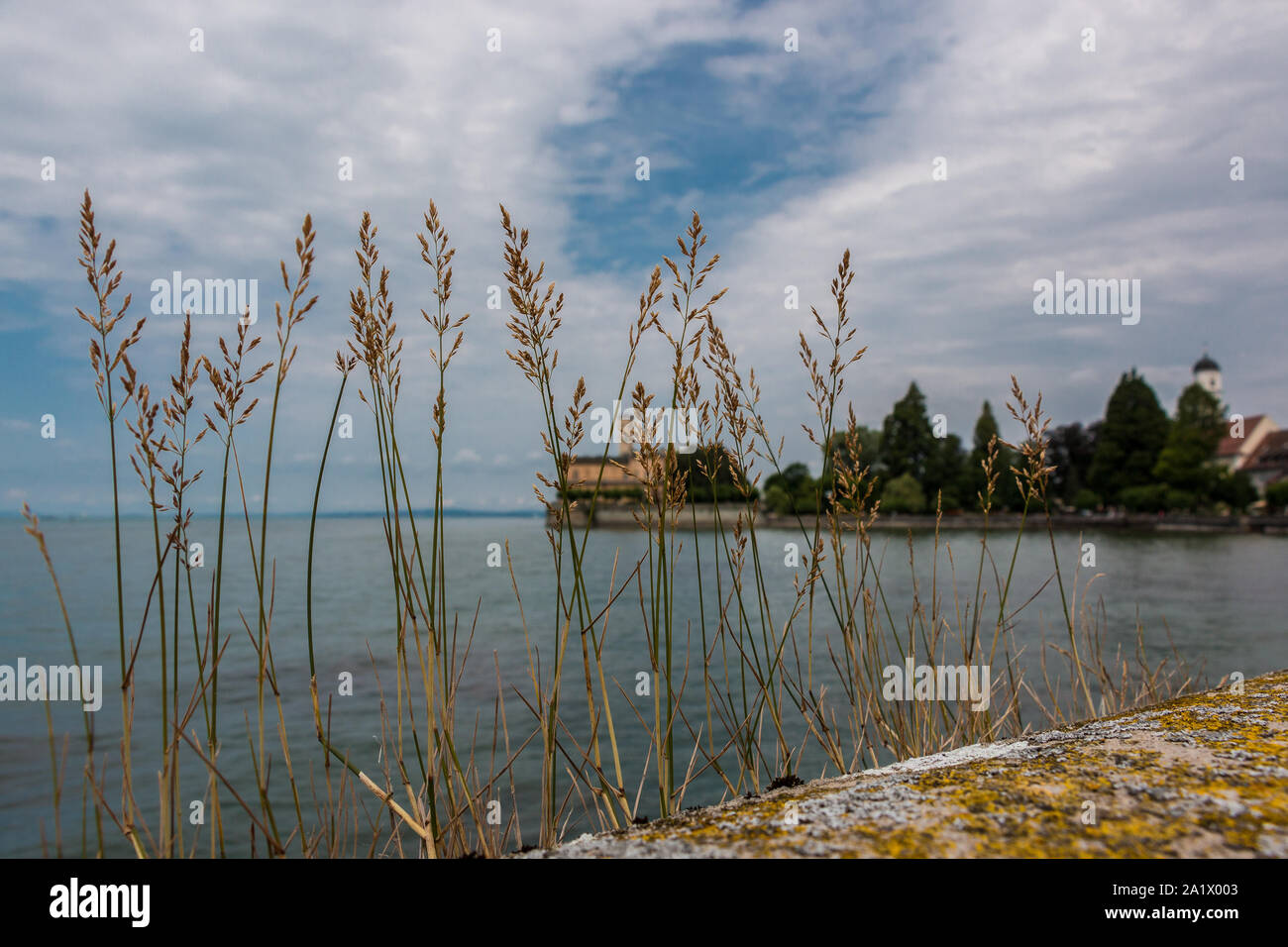 Little black spit of land into the water and reeds Stock Photo - Alamy