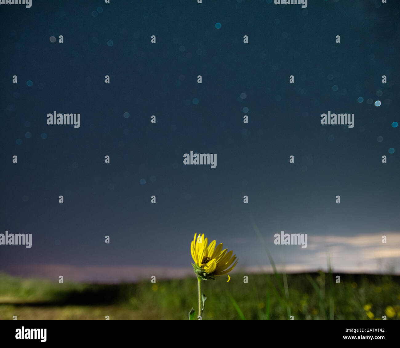 Night starry sky and bright yellow green galaxy hi-res stock ...