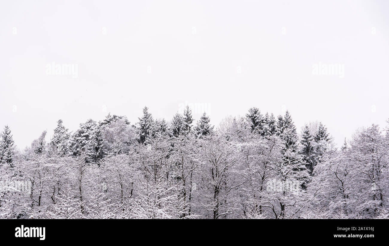 White winter landscape forest and fields countryside Stock Photo - Alamy