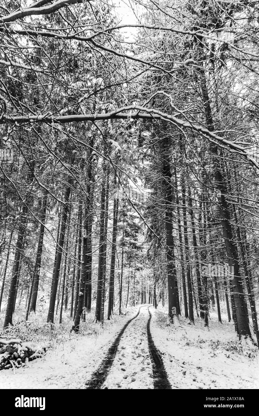 White winter landscape forest and fields countryside Stock Photo - Alamy