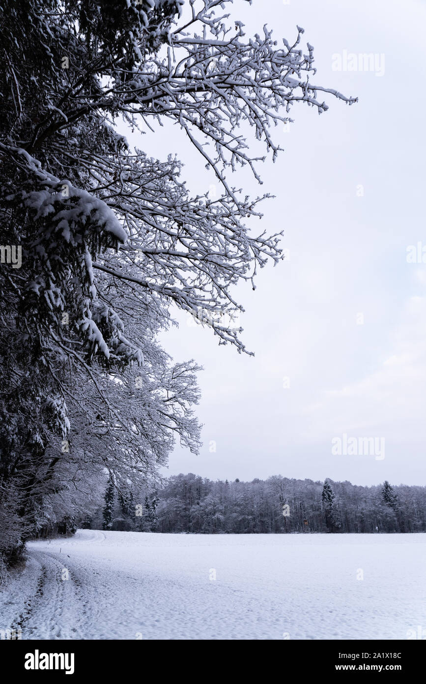 White winter landscape forest and fields countryside Stock Photo - Alamy