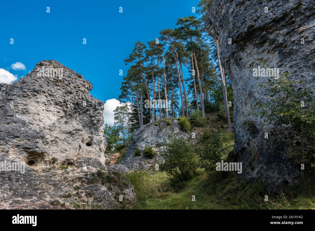 Sea of rocks with huge rocks and high trees Stock Photo - Alamy