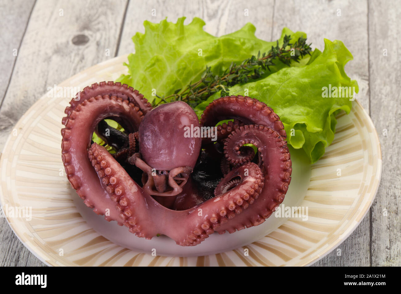 Boiled octopus with herbs in the plate Stock Photo - Alamy