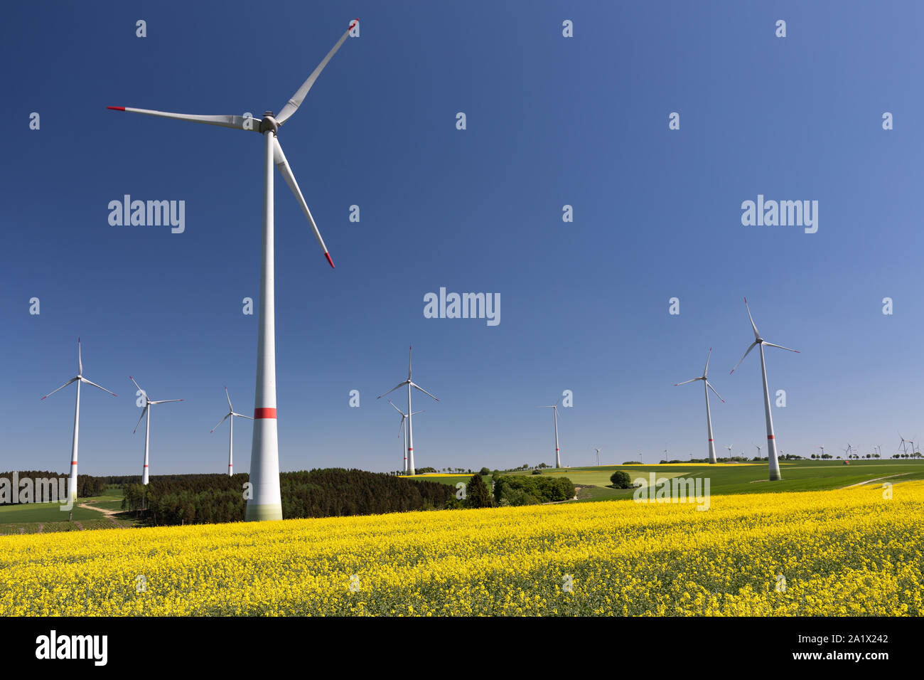 Beautiful rapeseed fields blue sky hi-res stock photography and images ...