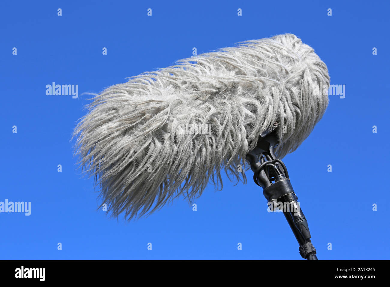 Mic windshield hi-res stock photography and images - Alamy