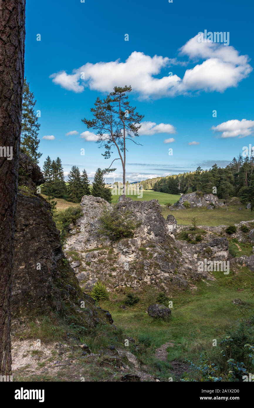 Sea of rocks with huge rocks and high trees Stock Photo - Alamy