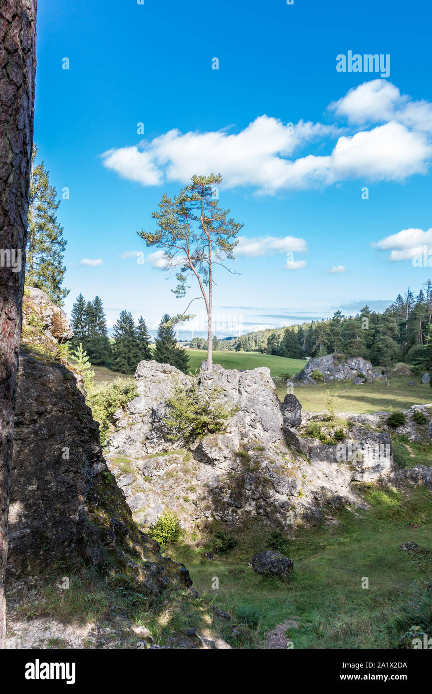 Sea of rocks with huge rocks and high trees Stock Photo - Alamy