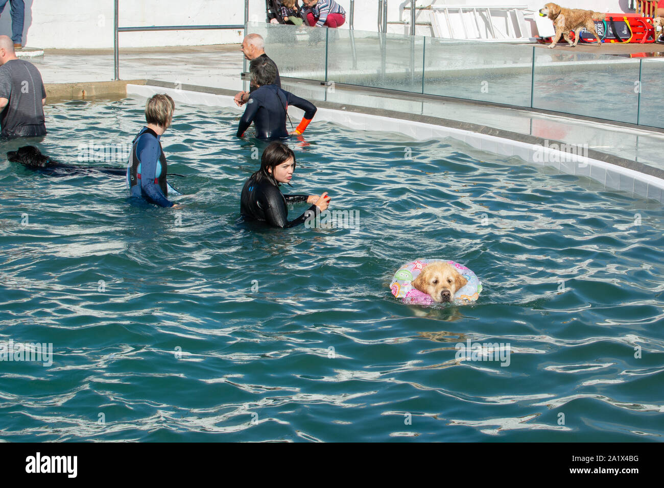 Jubilee pool penzance 2019 hi-res stock photography and images - Alamy