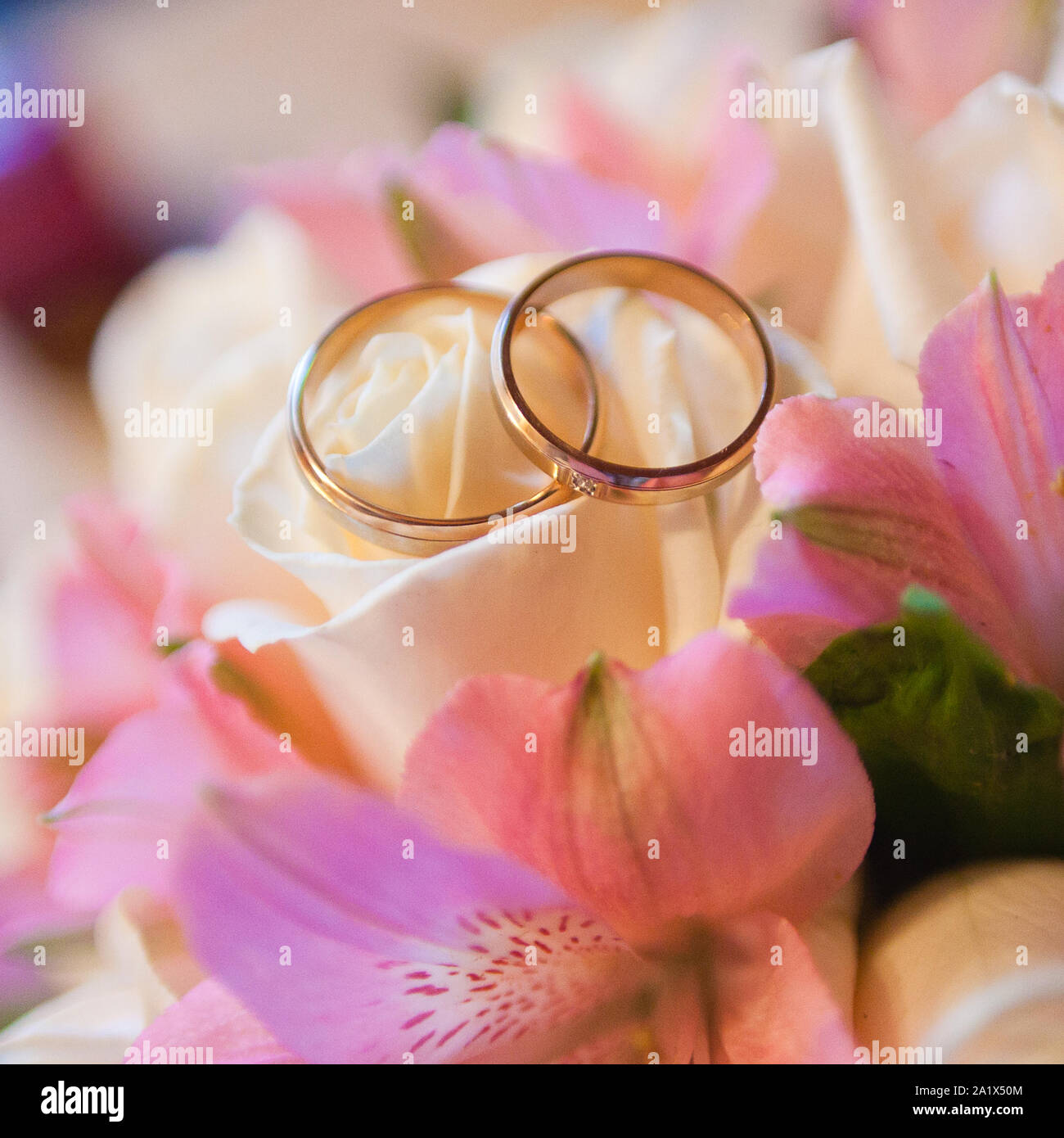 Blur wedding rings. Wedding theme Stock Photo - Alamy