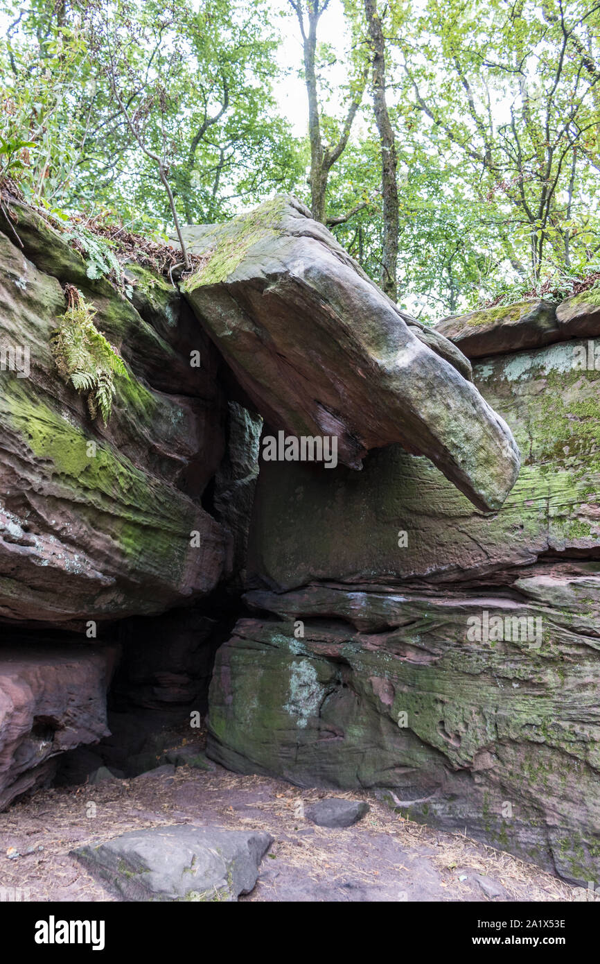 Big rocks in the middle of the green forest Stock Photo - Alamy