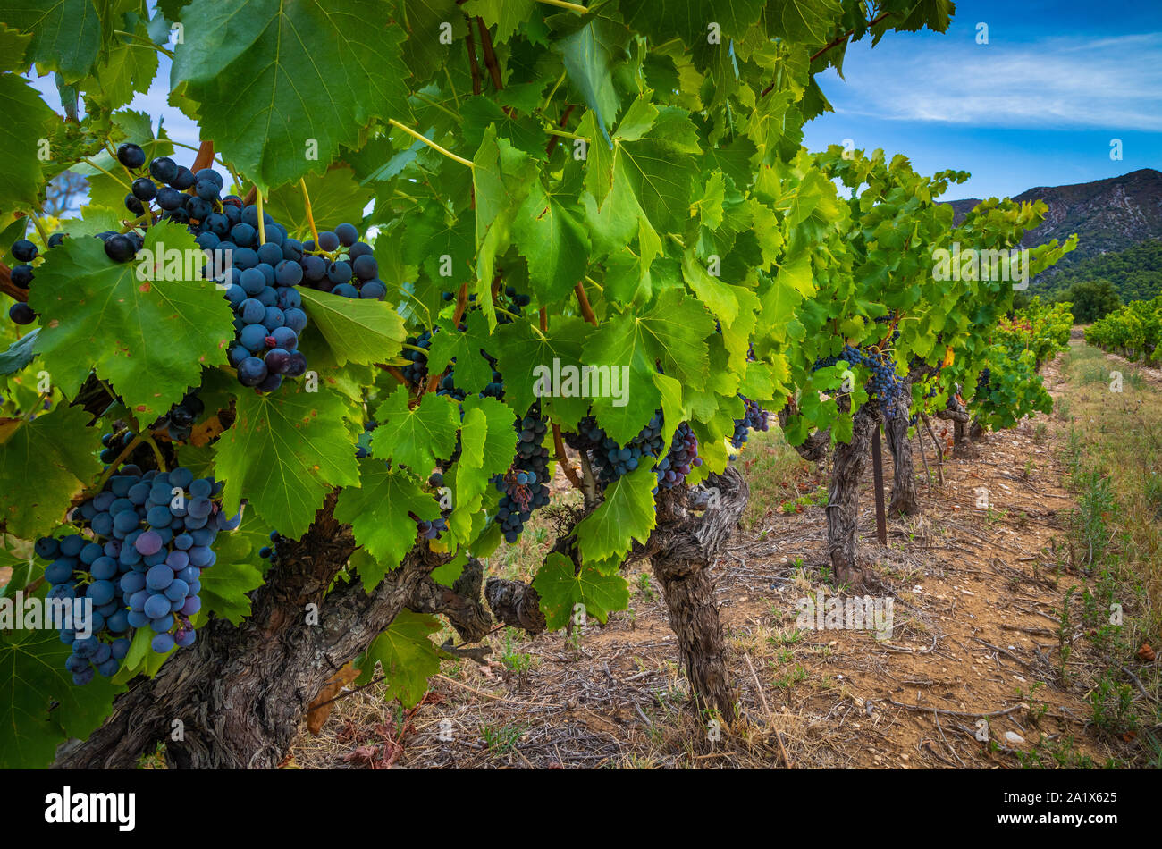 Côtes du Luberon is a French wine-growing AOC in the southeastern ...