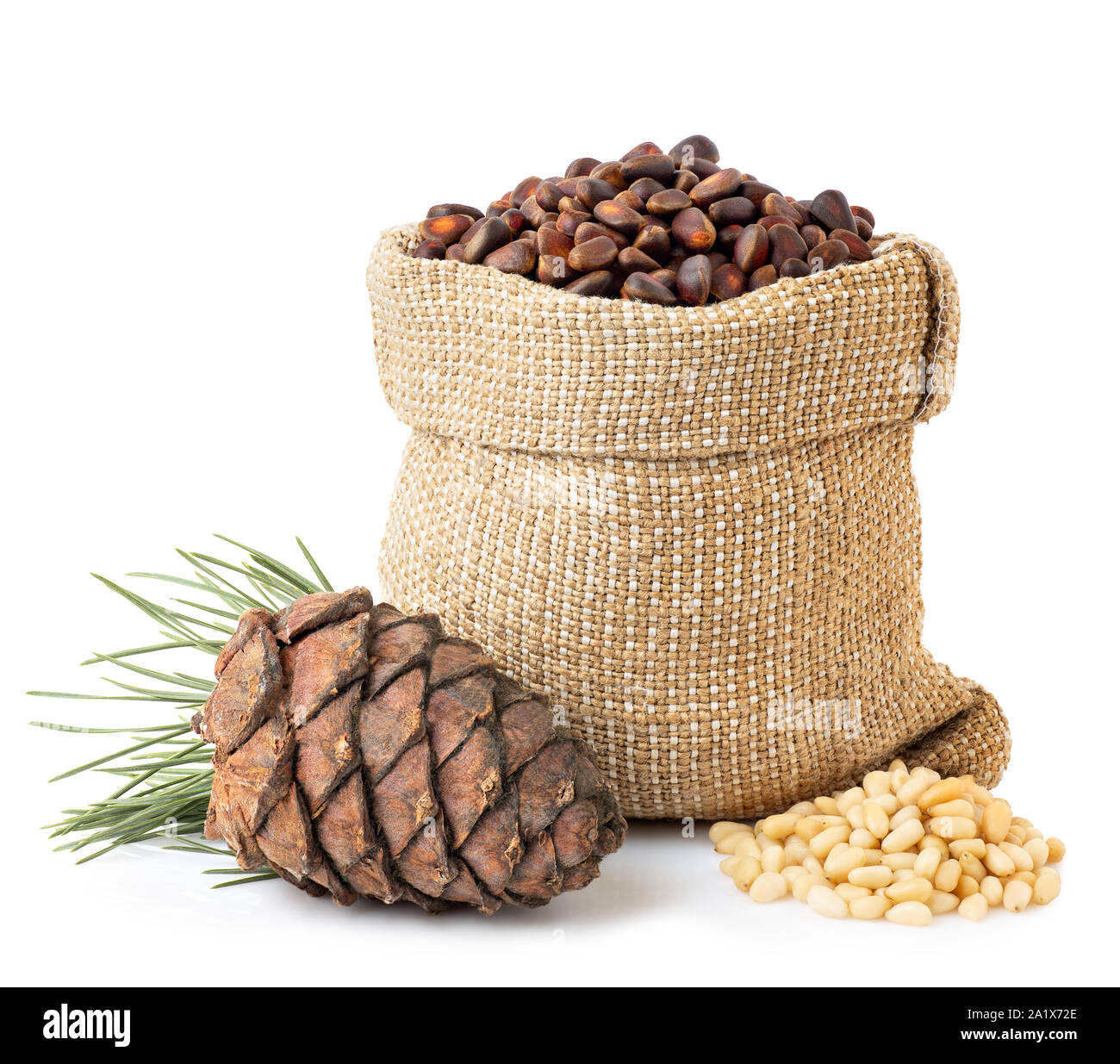 unpeeled cedar nuts in burlap sack with heap of kernels and pine cone ...