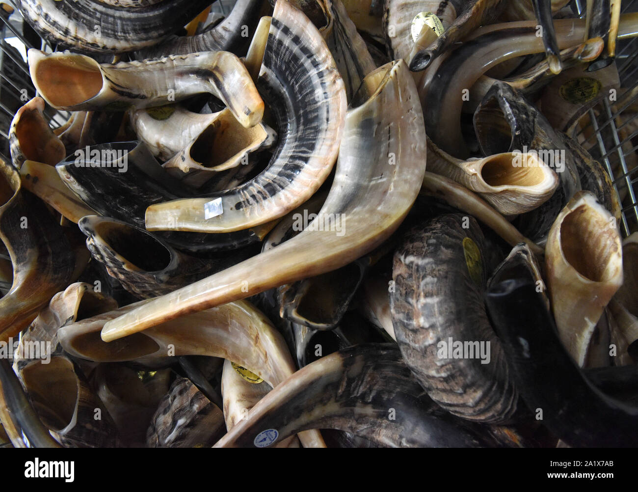 Rams horns hi-res stock photography and images - Alamy