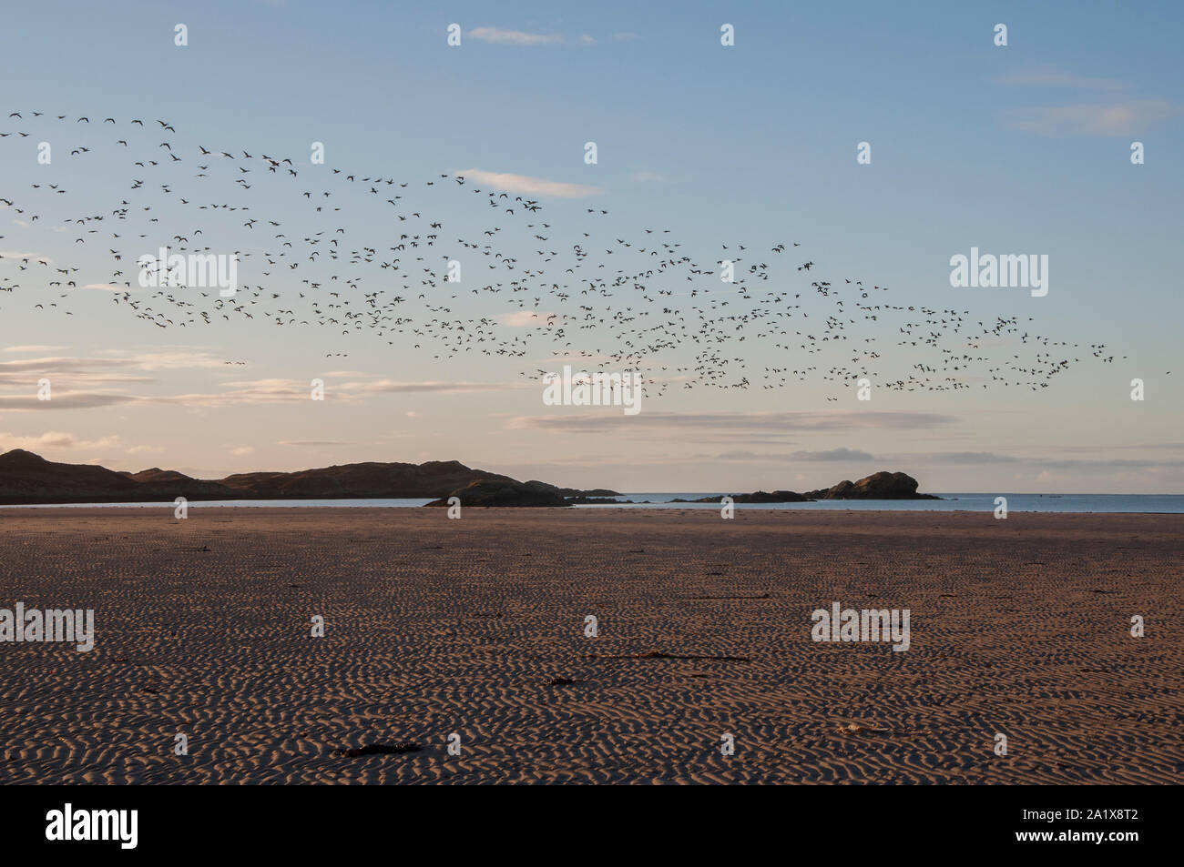 Coll scotland beach hi-res stock photography and images - Alamy