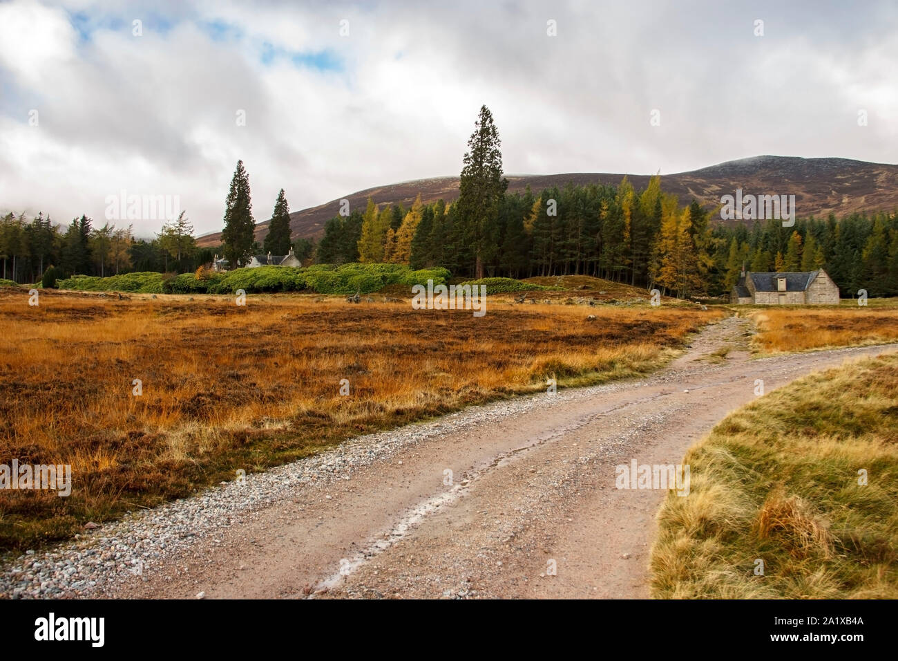 Route to Lochnagar. Ballater, Royal Deeside, Aberdeenshire, Scotland ...