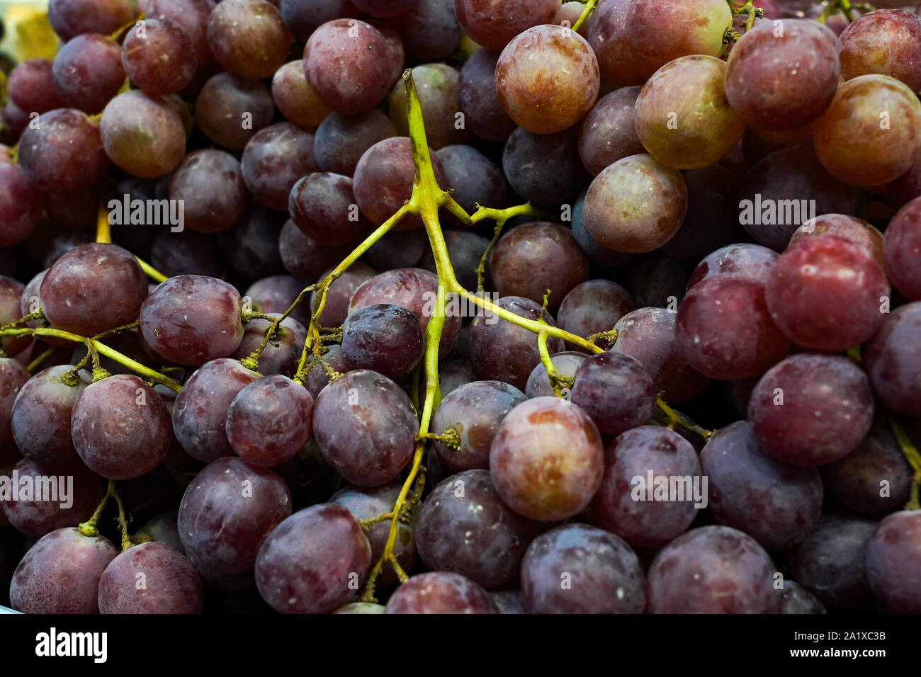 Large grapes. Pile of red grapes. Fresh fruit sale. The grape juice ...