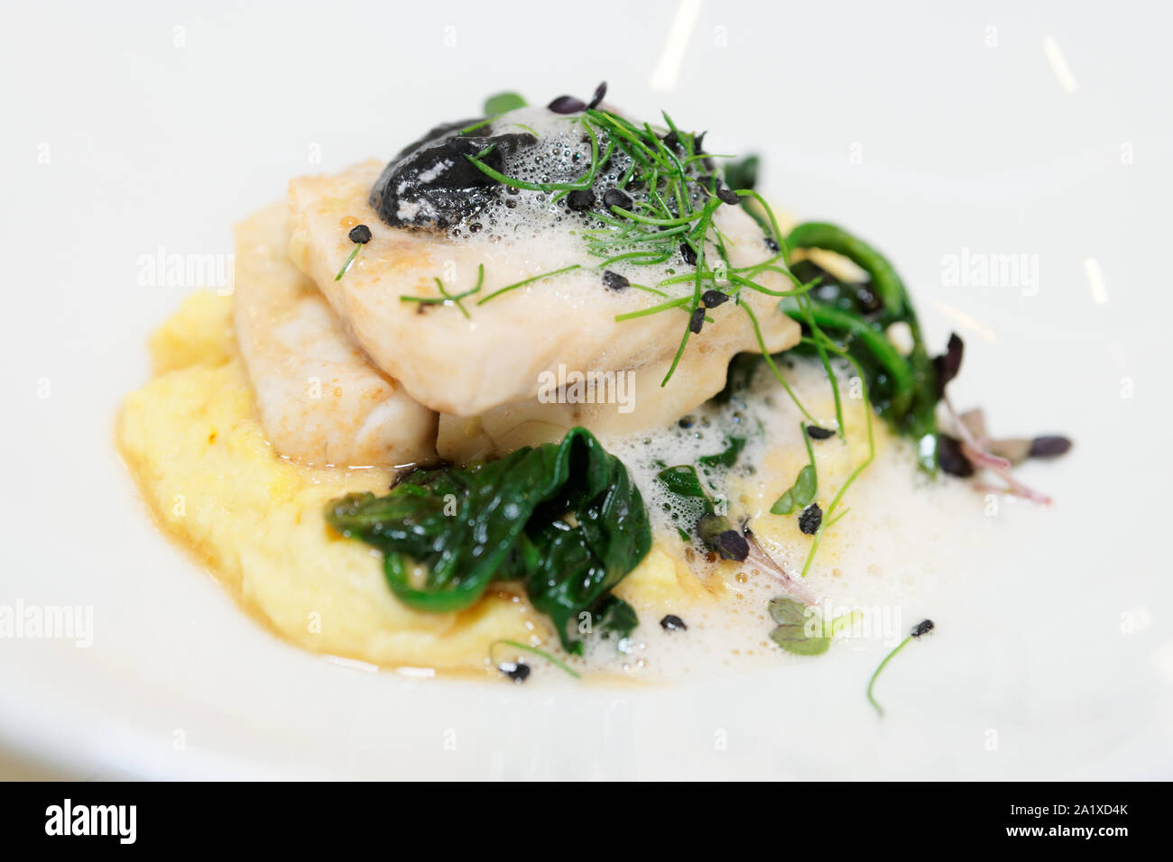 Steamed fish fillet hi-res stock photography and images - Alamy