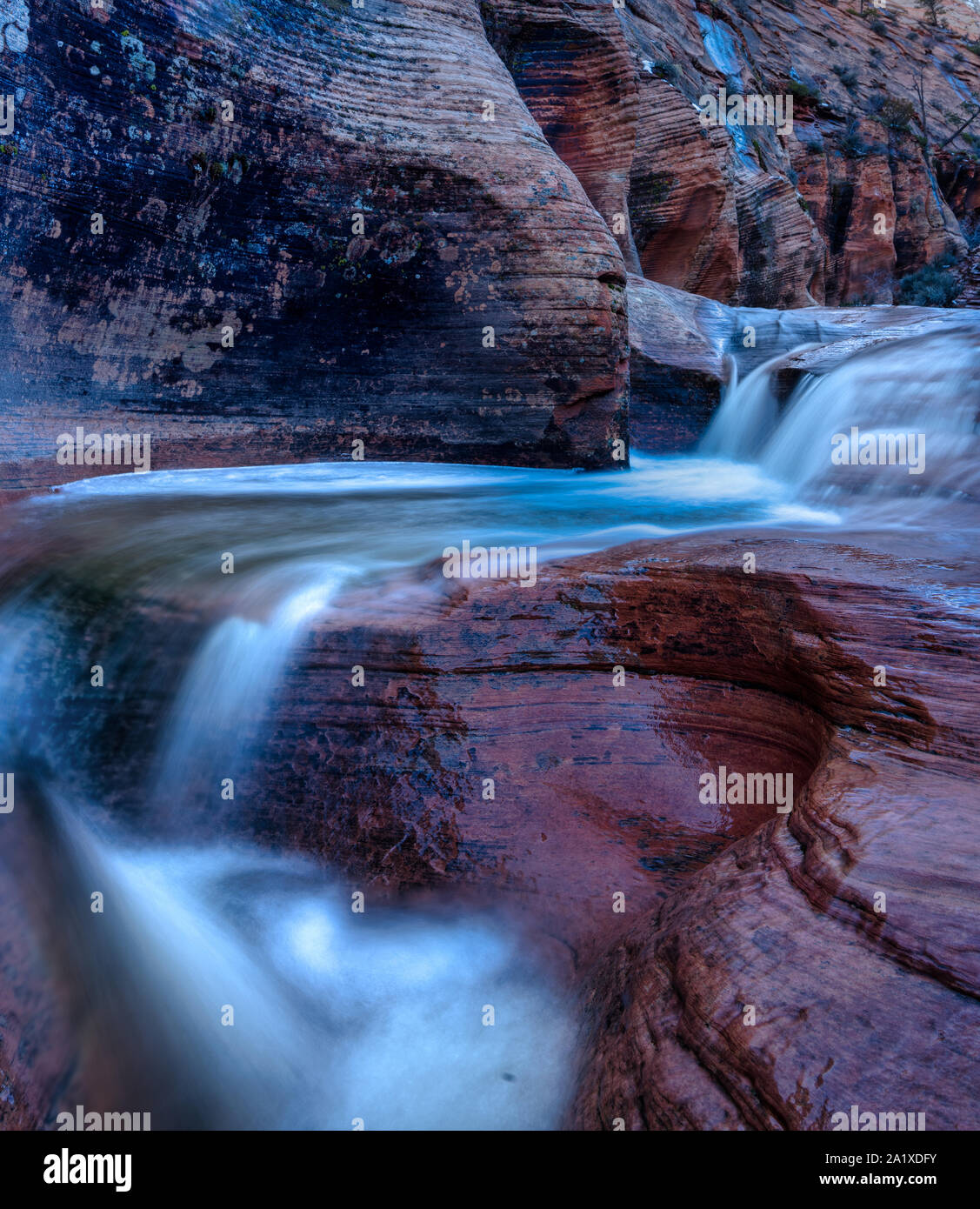 Canyon trail adventure zion hi-res stock photography and images - Alamy
