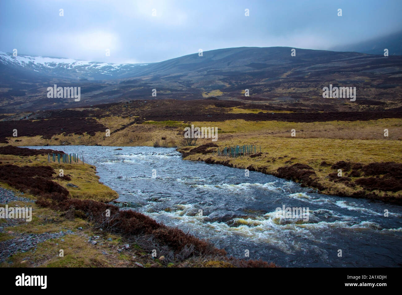 Cairngorms National Park and Clunie Water in Royal Deeside between ...