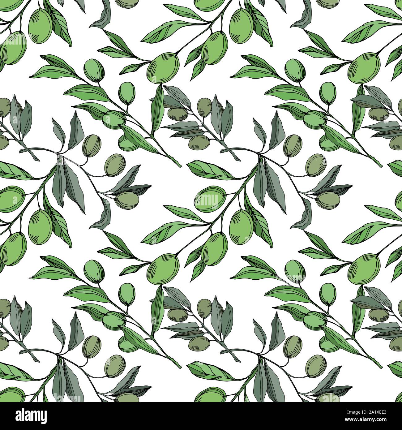 Vector Olive branch with fruit. Black and white engraved ink art. Seamless background pattern ...