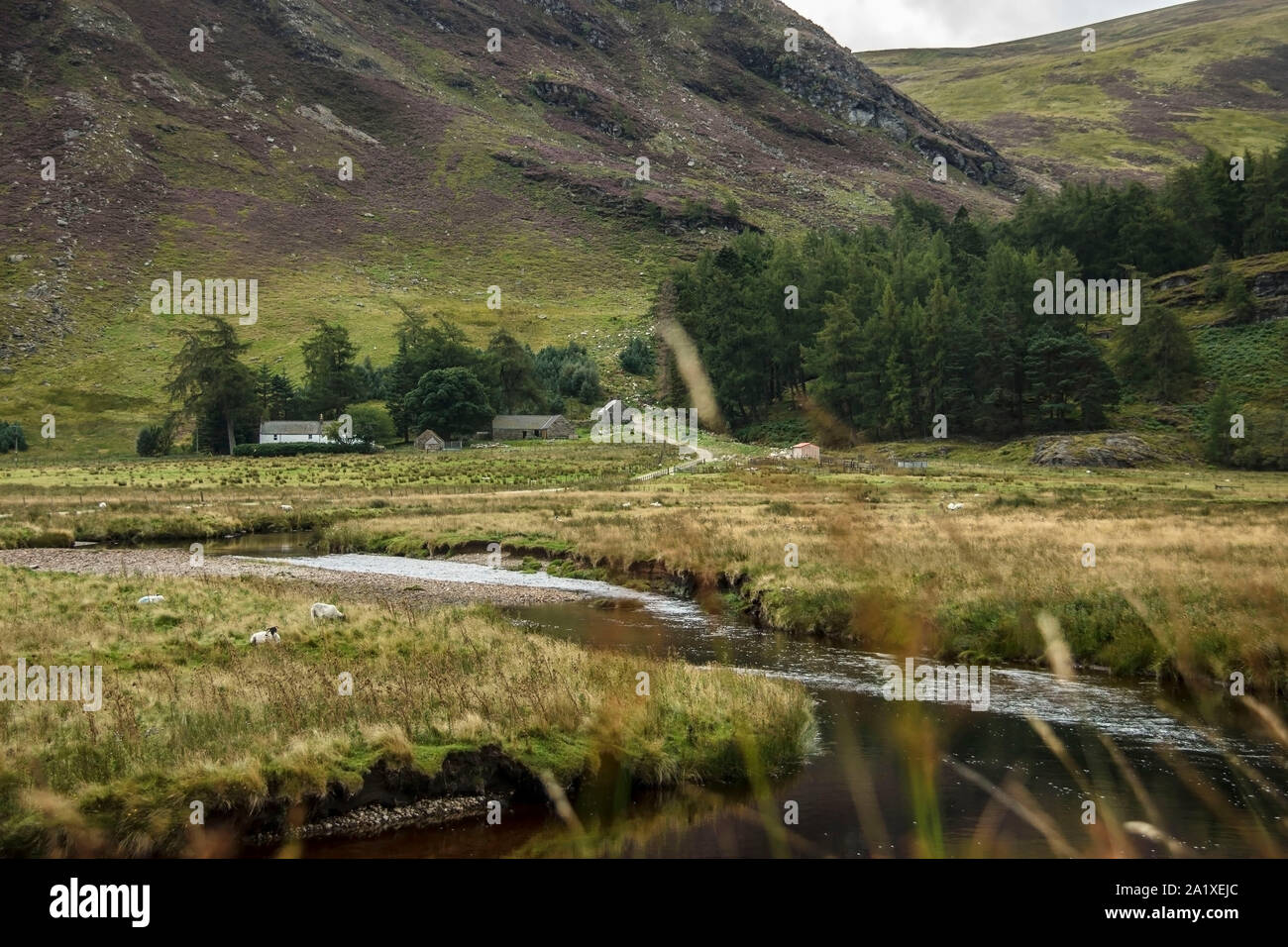 Path around Loch Lee and farm house at Glen Lee. Angus, Scotland, UK ...