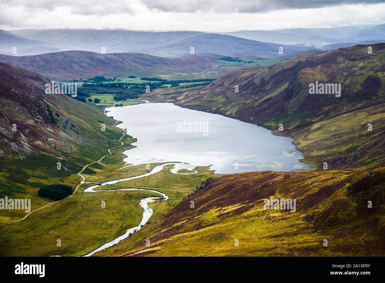 Loch Lee, Angus High Resolution Stock Photography and Images - Alamy