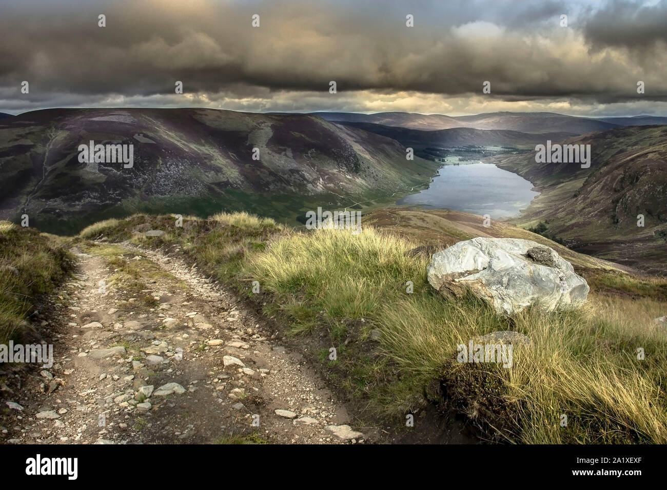 Loch Lee, Angus High Resolution Stock Photography and Images - Alamy