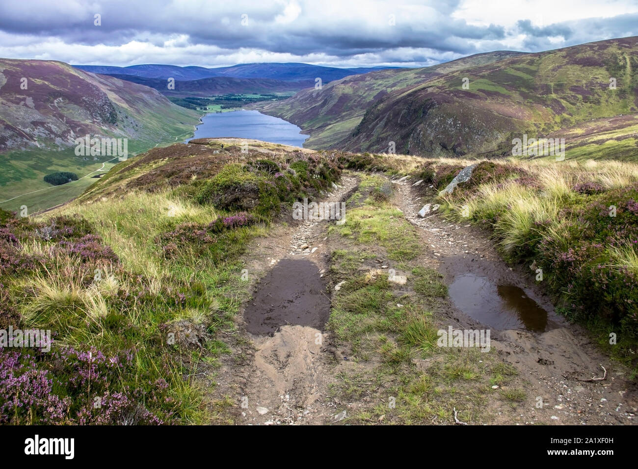 Loch Lee. Angus, Scotland, UK. South of the Grampian Mountains Stock ...