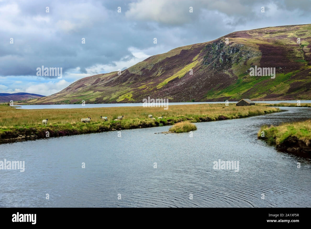 Scotland landscape and Loch Lee. Angus, Scotland, UK. Cairngorms ...