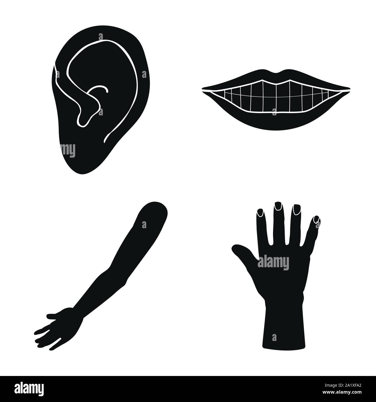 Isolated object of body and part logo. Collection of body and anatomy ...