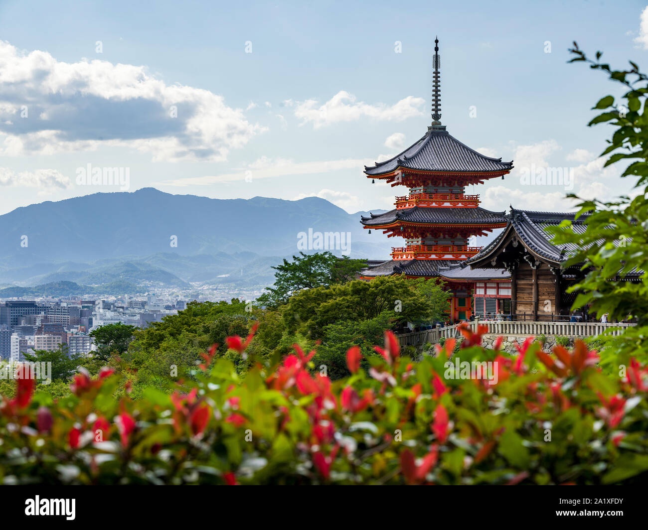 Japanese shrine overlooking Kyoto with red flowers in foreground Stock ...