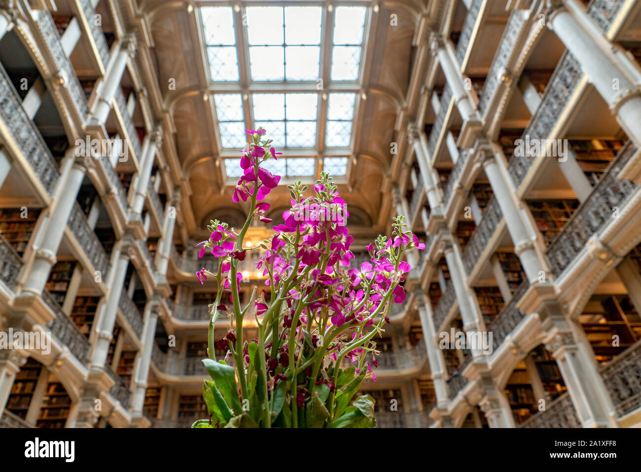 Baltimore public library unusual view detail Stock Photo - Alamy