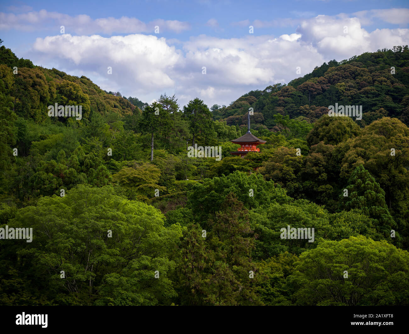 Temple hidden hi-res stock photography and images - Alamy