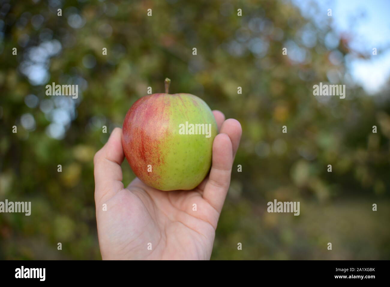Fujifilm bio hi-res stock photography and images - Alamy