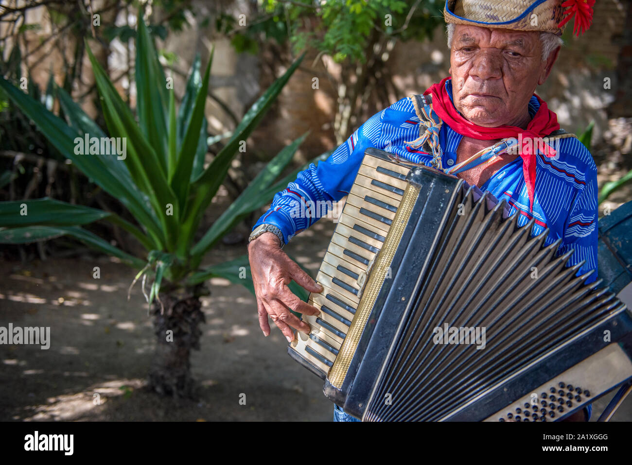 Brazilian cowboy hi-res stock photography and images - Alamy